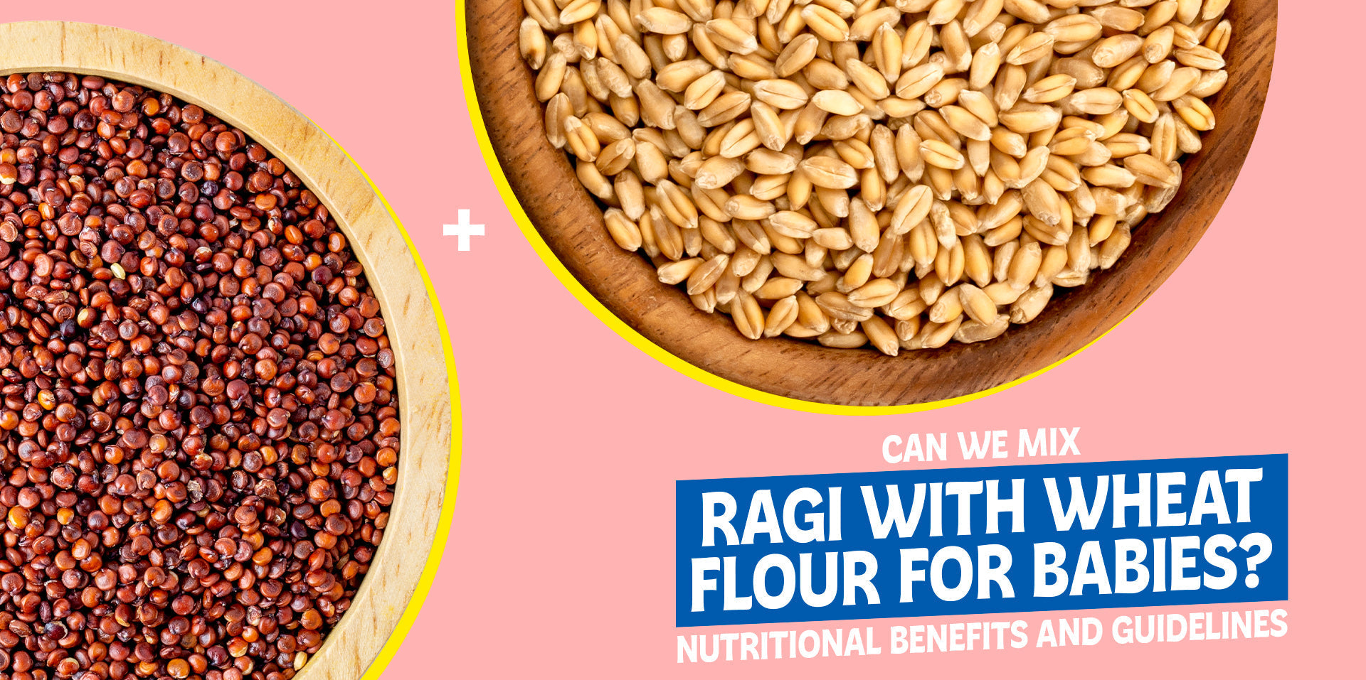 Can We Mix Ragi with Wheat Flour for Babies?