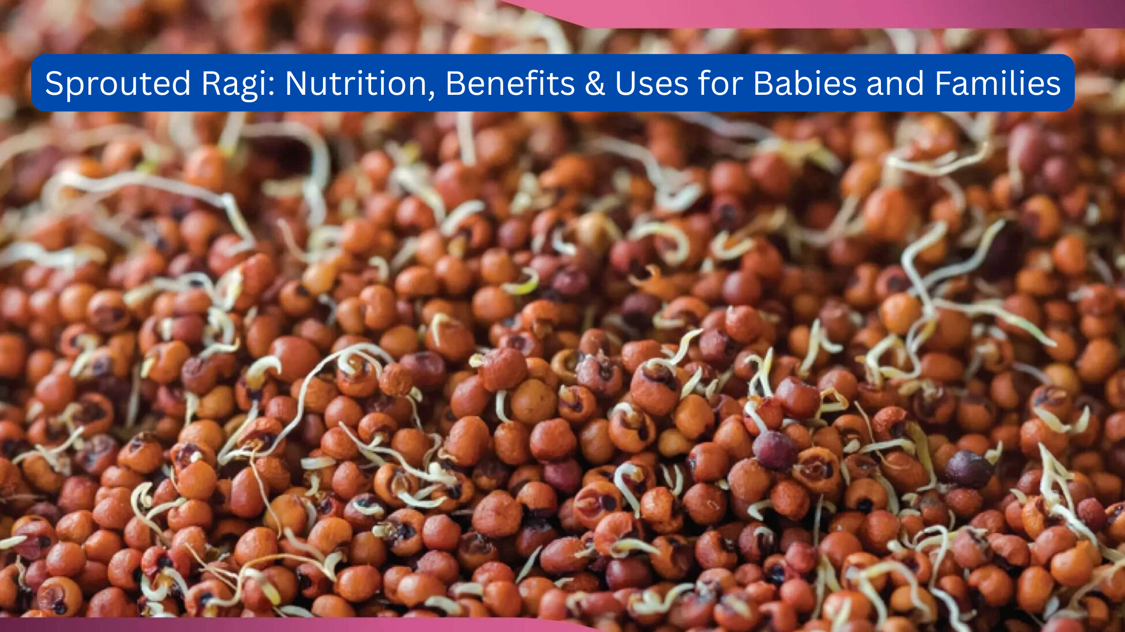Sprouted Ragi: Nutrition, Benefits & Healthy Uses for Babies